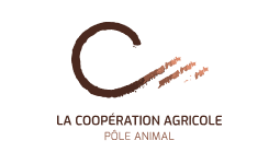 Fièvre aphteuse : Le pôle animal, GDS France et la SNGTV publient une ...