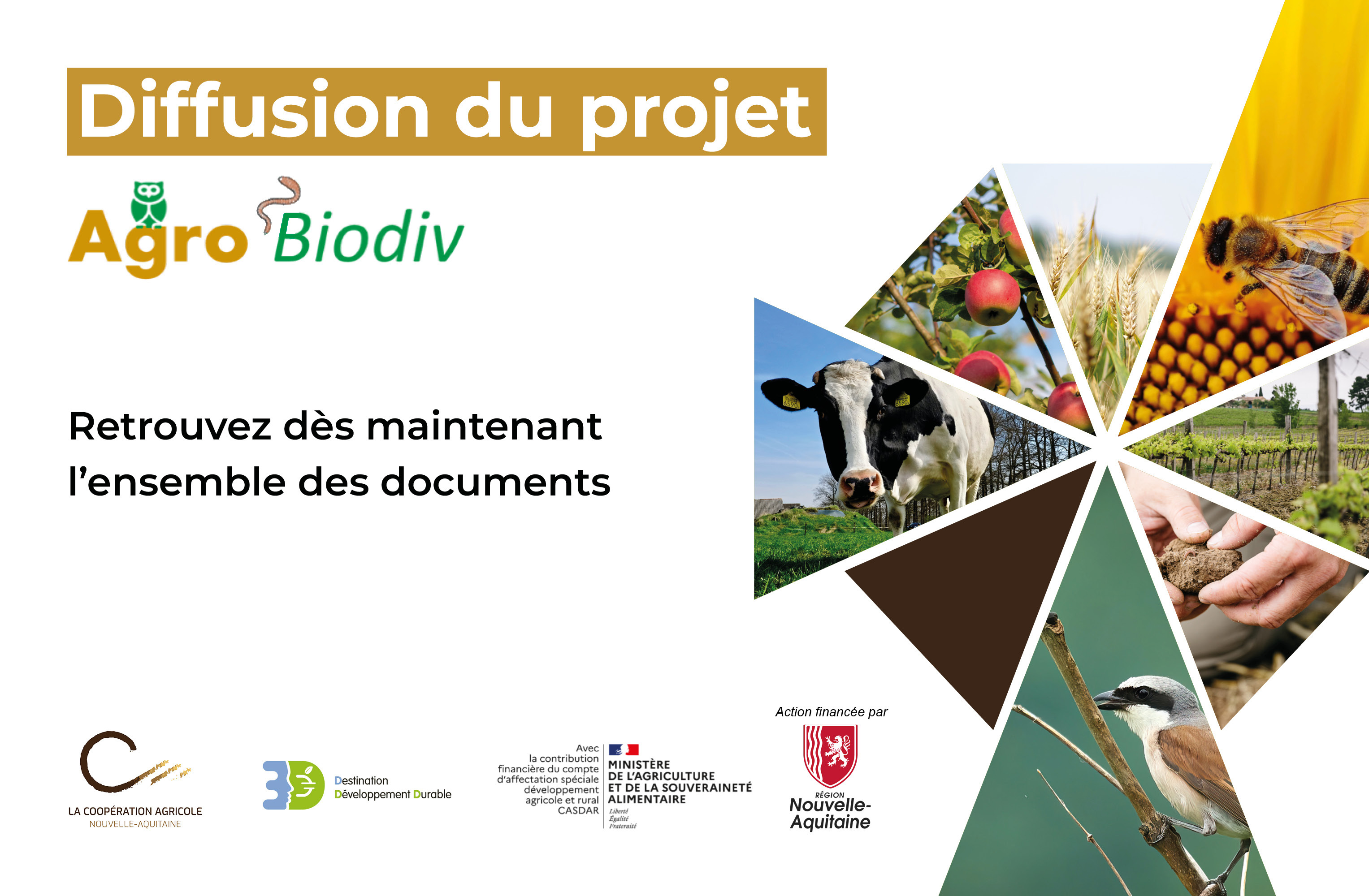 Diffusion du Projet Agro'Biodiv | La Coopération Agricole