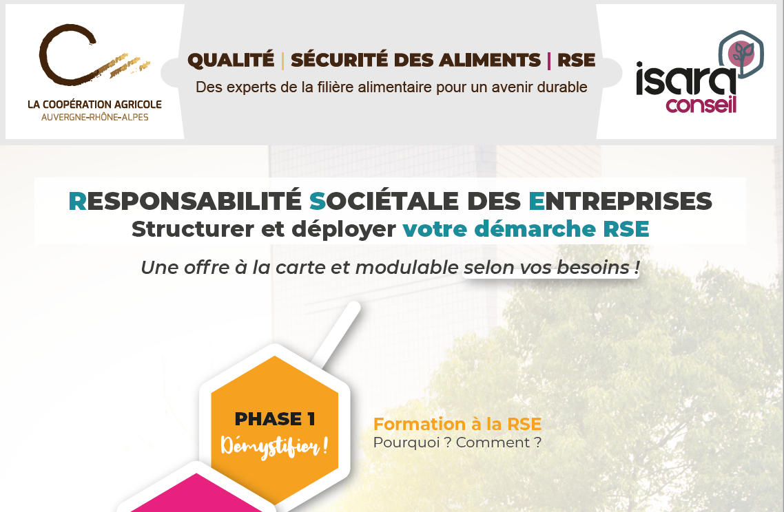 Offre RSE : Structurer et déployer votre démarche RSE ! | La ...