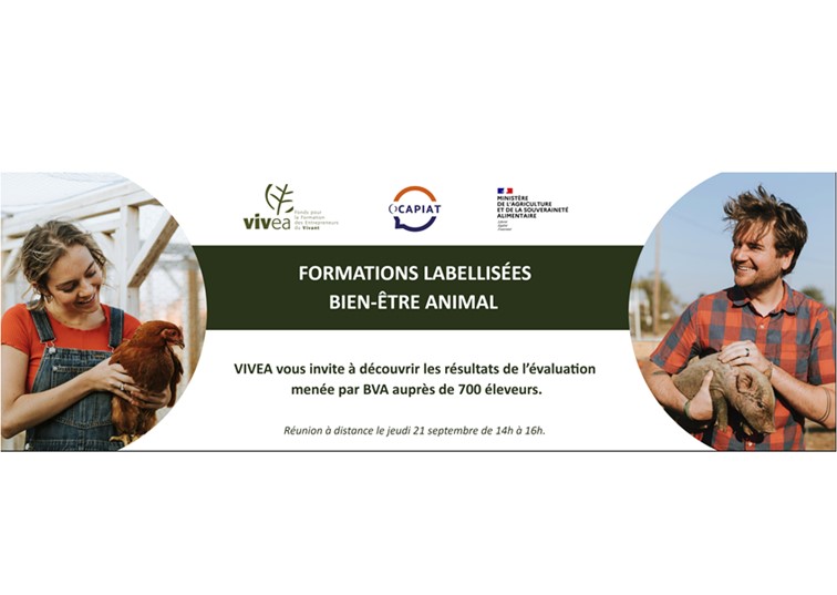 Présentation des résultats d'une évaluation sur les formations BEA | La ...