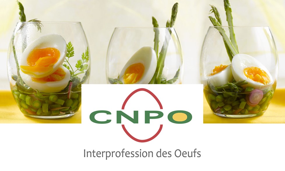 Le replay de la Conférence de Presse des professionnels de la filière ...