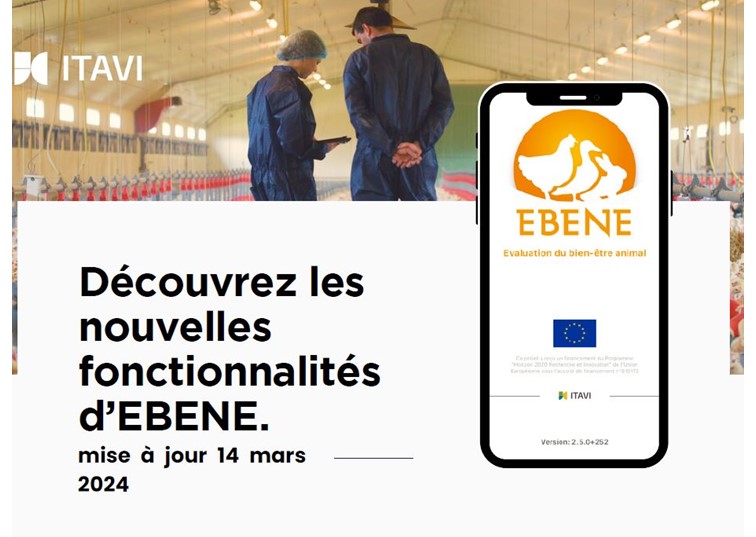 Nouvelle version de l'outil EBENE (évaluation du BEA) | La Coopération ...