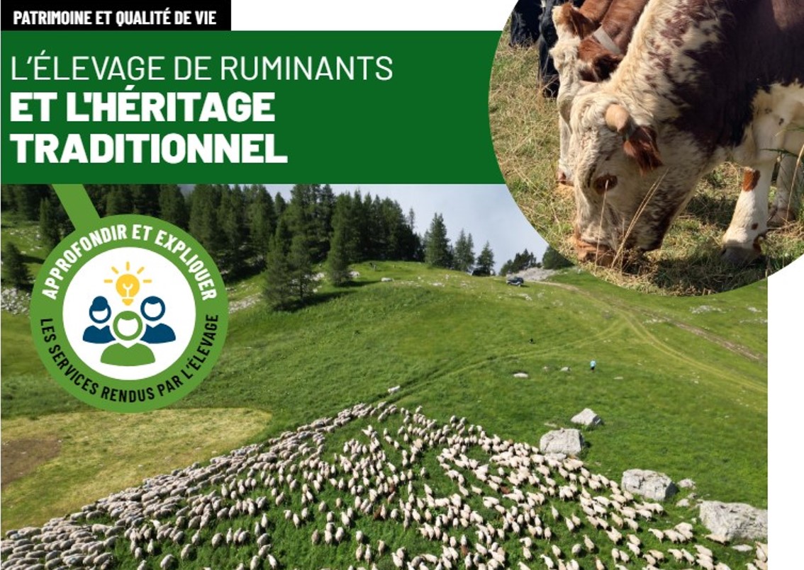 Nouvelle fiche CNE : L'élevage de ruminants et l'héritage traditionnel ...