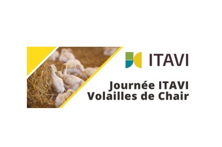 31 octobre 2024 : Journée ITAVI Volailles de Chair | La Coopération ...