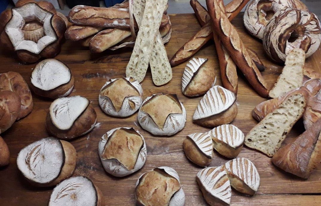 Lou Pan d'Ici, la baguette 100% Sud lancée au Salon de l'agriculture à ...