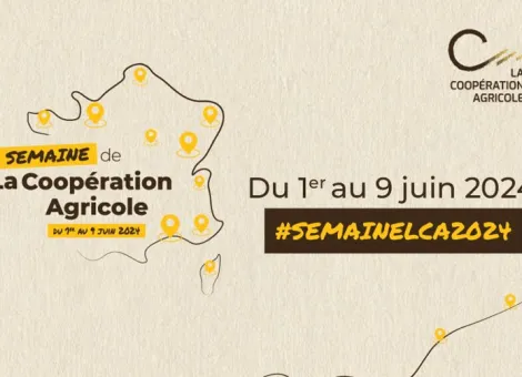 Nutrition animale | La Coopération Agricole